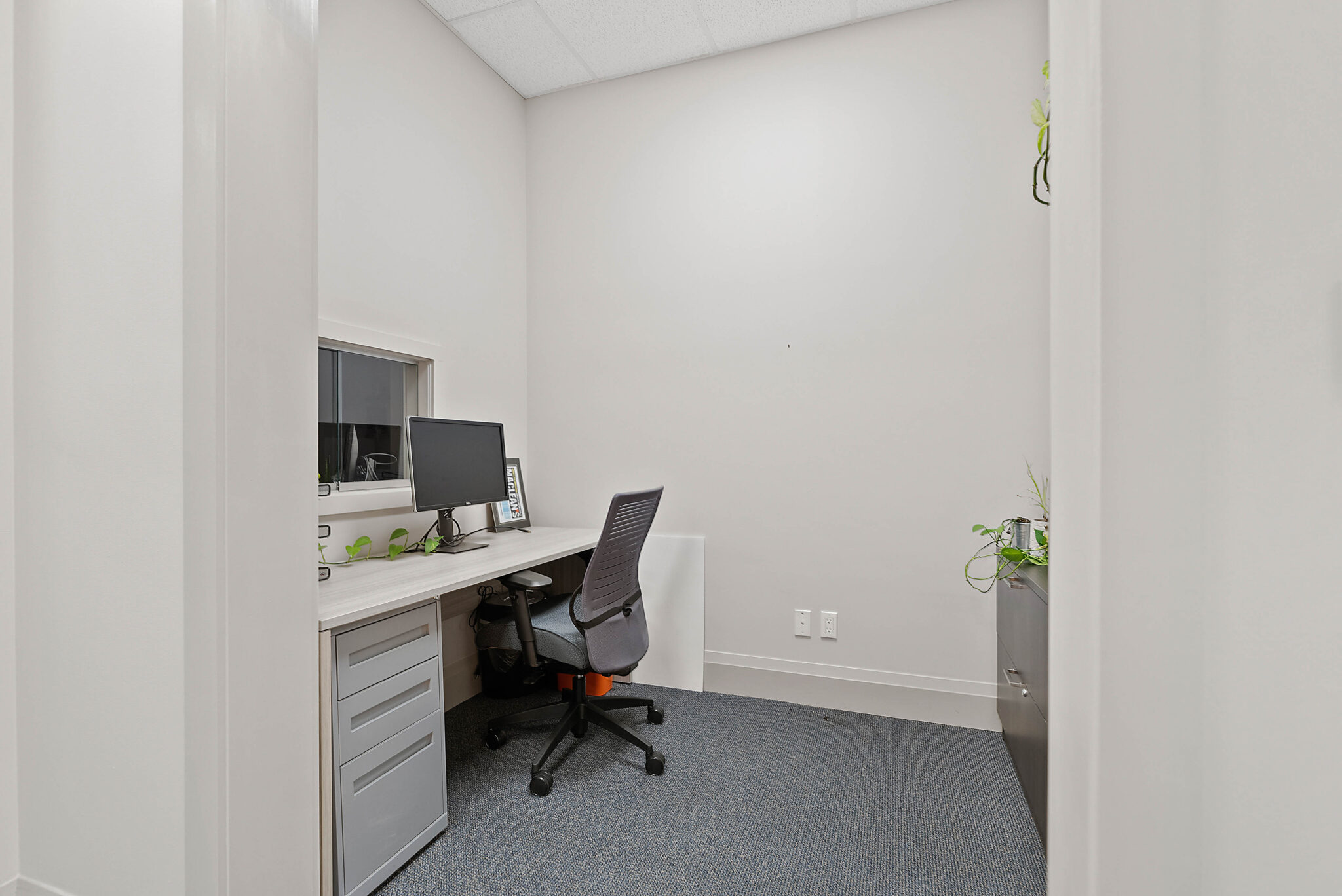 Home - Boone Dog Office Spaces